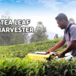 Mild Steel Tea Pruning Machine – rmachinetools